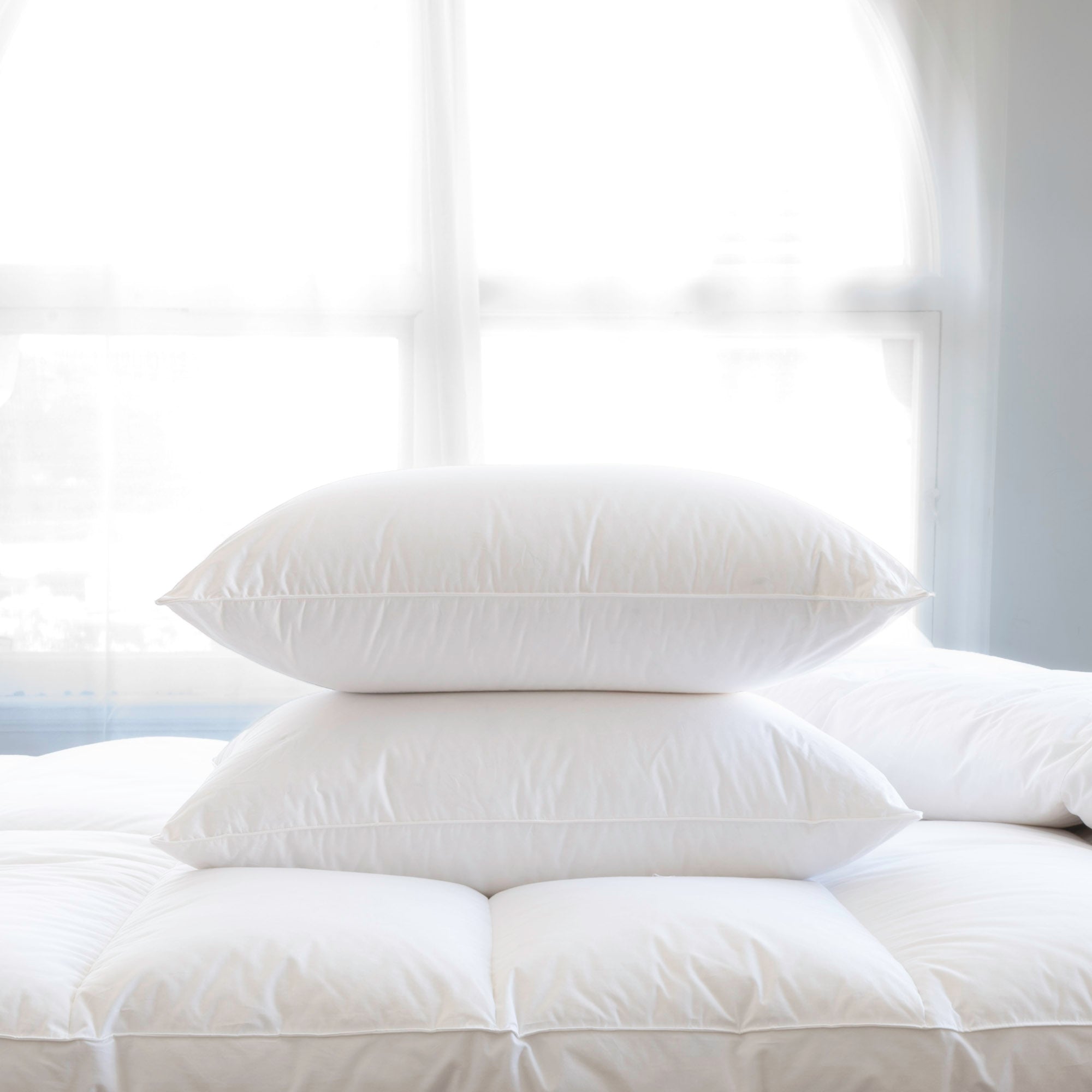 Quick Ship Pillows | Fast Plush Comfort – DownHaus